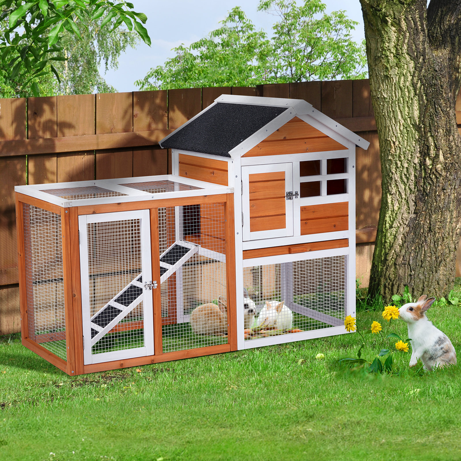 Tucker Murphy Pet™ Elselore 6.5 Square Feet Chicken Coop For Up To 3 ...