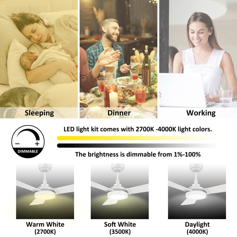 Ivy Bronx Dechlan 52'' Smart DC Motor Ceiling Fan with LED Lights and ...