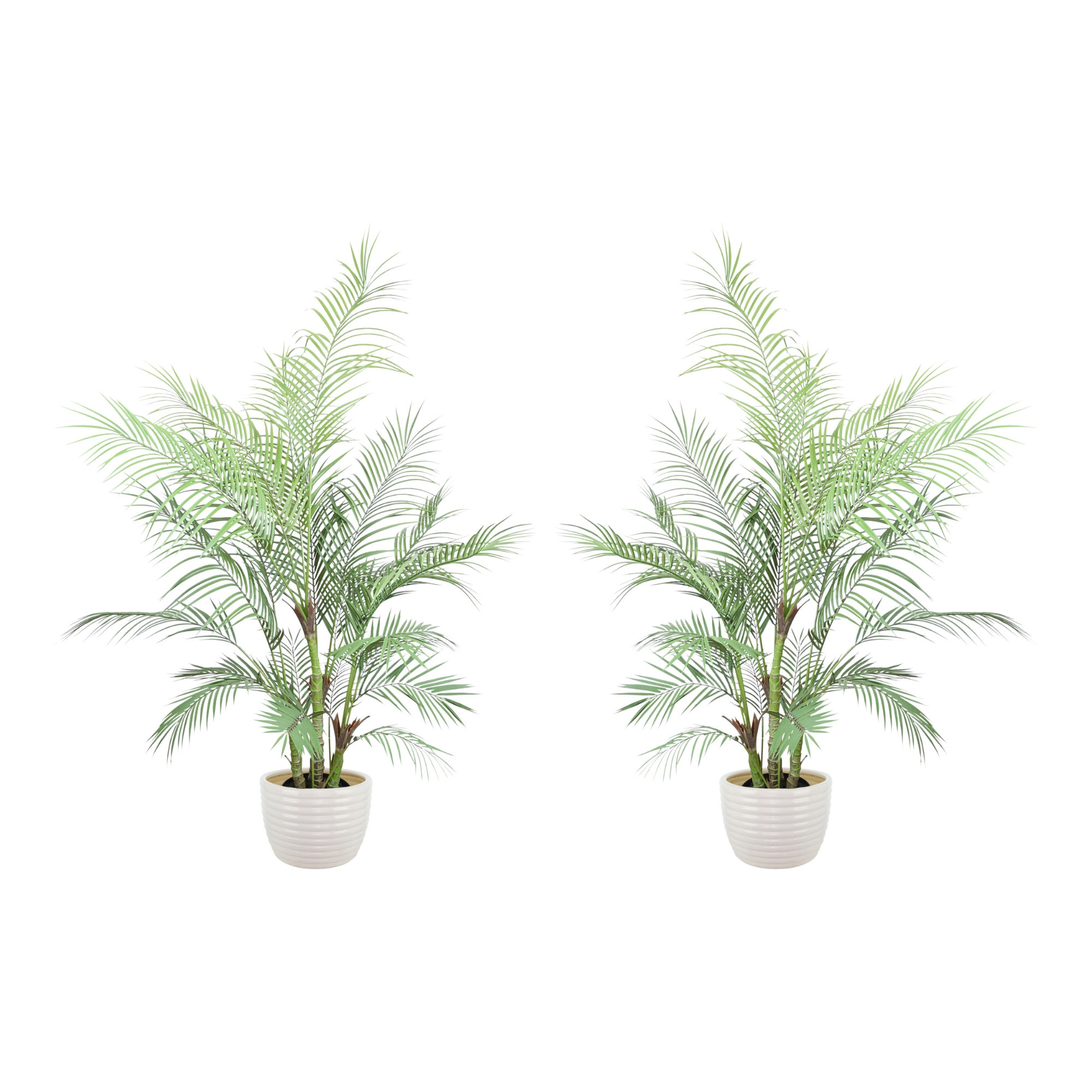 Creative Displays, Inc. 5' Kentia Palm Drop-In Trees with Ceramic Pots ...