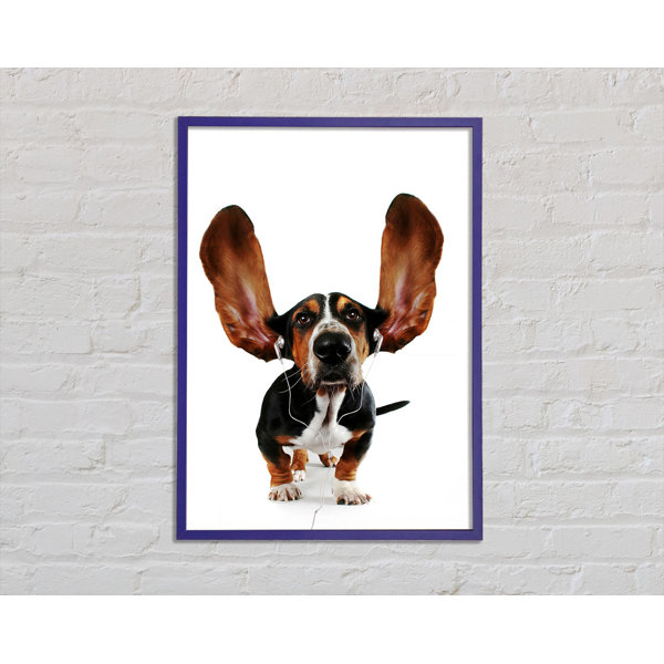Brayden Studio Basset Hound Music - Single Picture Frame Art Prints ...