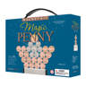 Dowling Magnets Magic Penny Magnet Kit 25th Anniversary Edition ...