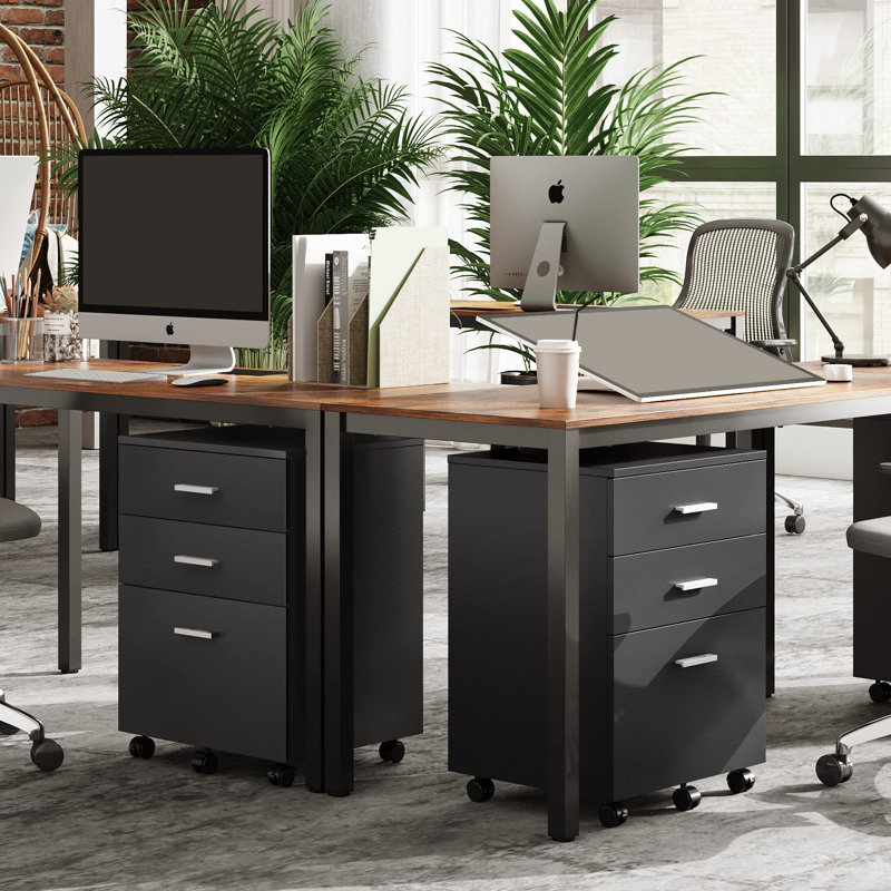 17 Stories Kopelan 3-Drawer Mobile Vertical Filing Cabinet & Reviews ...