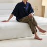 Latitude Run® All in One Mattress & Bed Frame 15 Inch Mattresses in a ...