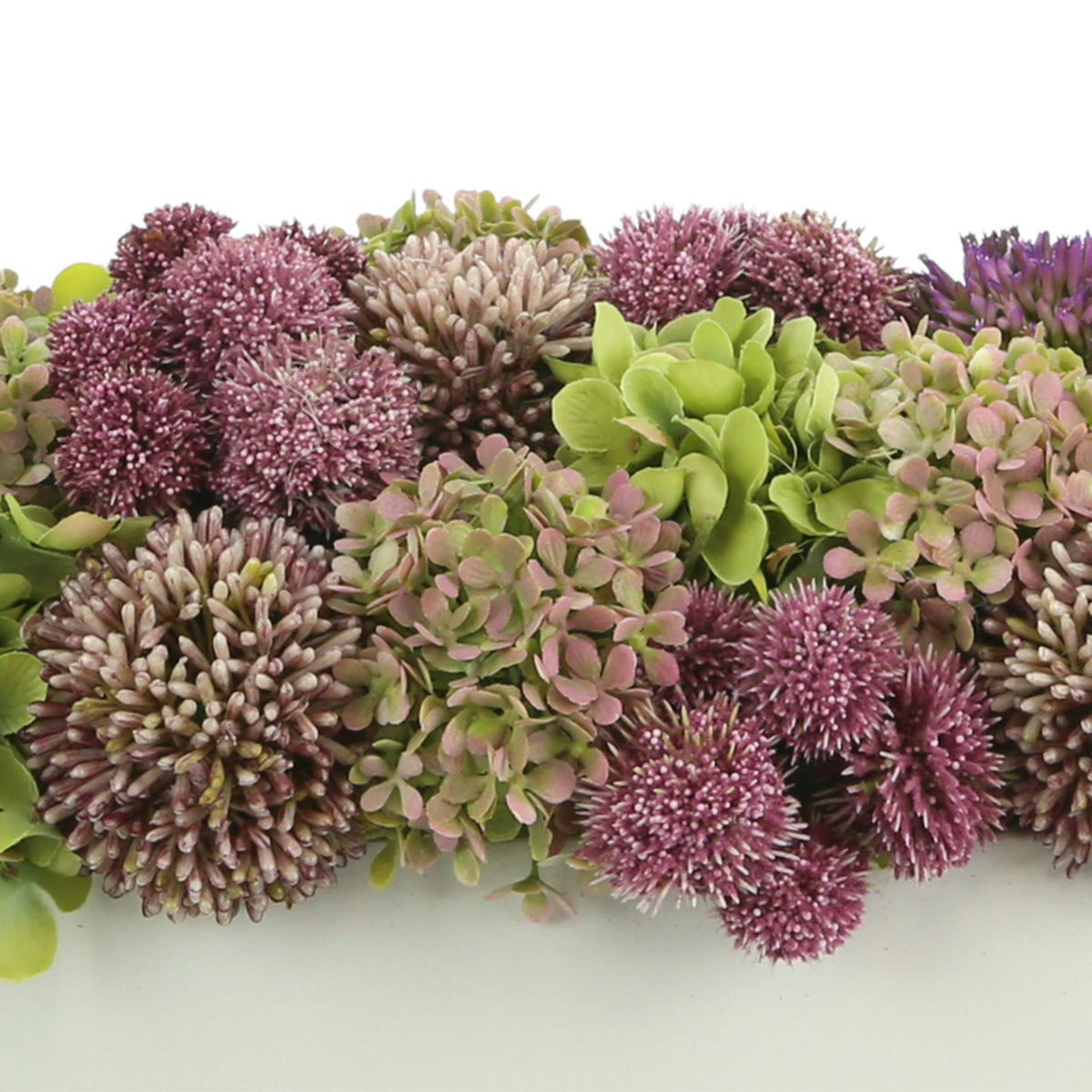 Primrue Hydrangea and Allium in Rectangular Planter | Wayfair