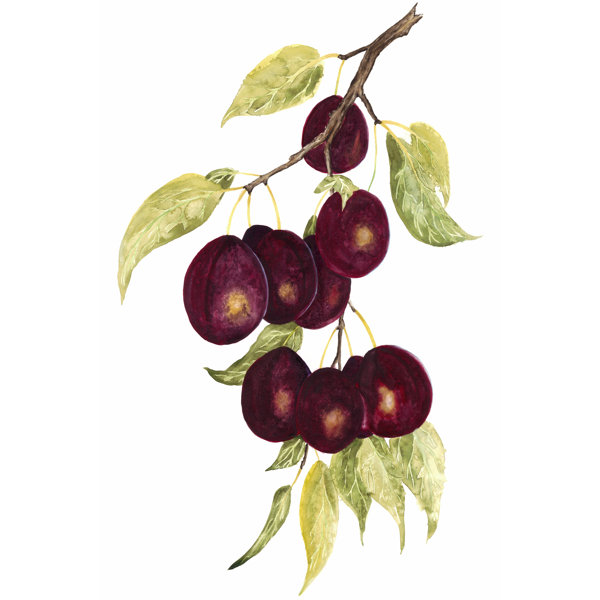 Marlow Home Co. Plums - Wrapped Canvas Painting | Wayfair.co.uk