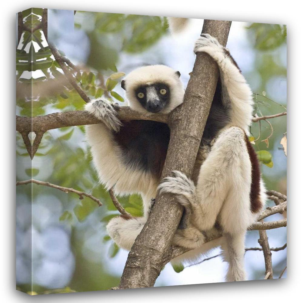 Latitude Run® Williams, Joanne Gallery Wrapped Canvas Art Titled ...