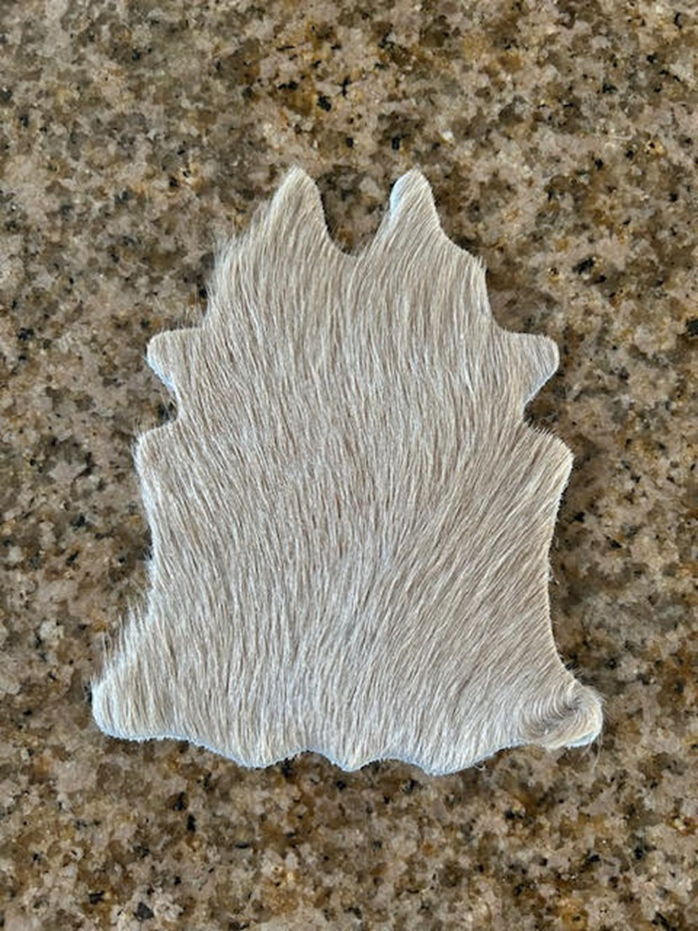 Loon Peak® Real Cowhide Hand-Made Coasters | Wayfair