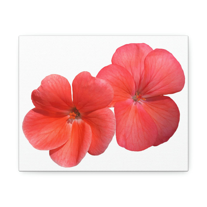 Bayou Breeze Peach Red Flower - Wrapped Canvas Illustration | Wayfair