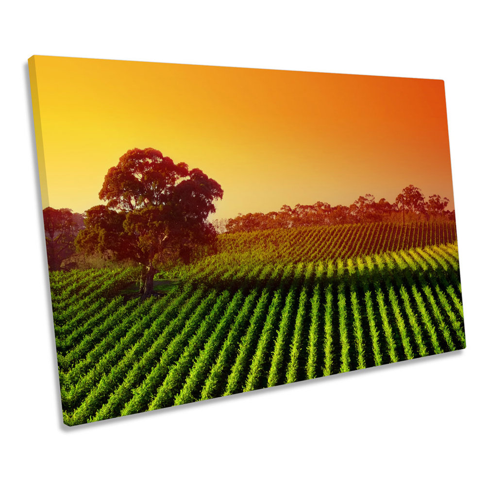 Ebern Designs Sunset Vineyard Landscape CANVAS WALL ART Box Framed ...