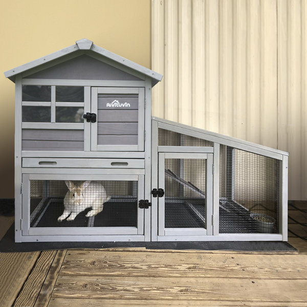 Aivituvin Weather Resistant Rabbit Portable Hutch with Ramp & Reviews ...