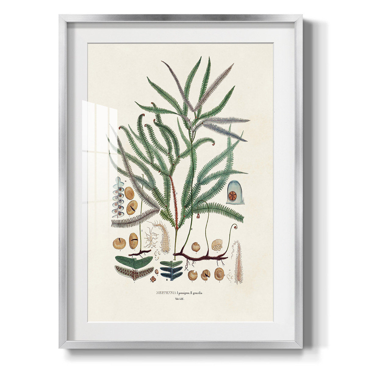 Winston Porter Bright Boy II Framed Print | Wayfair