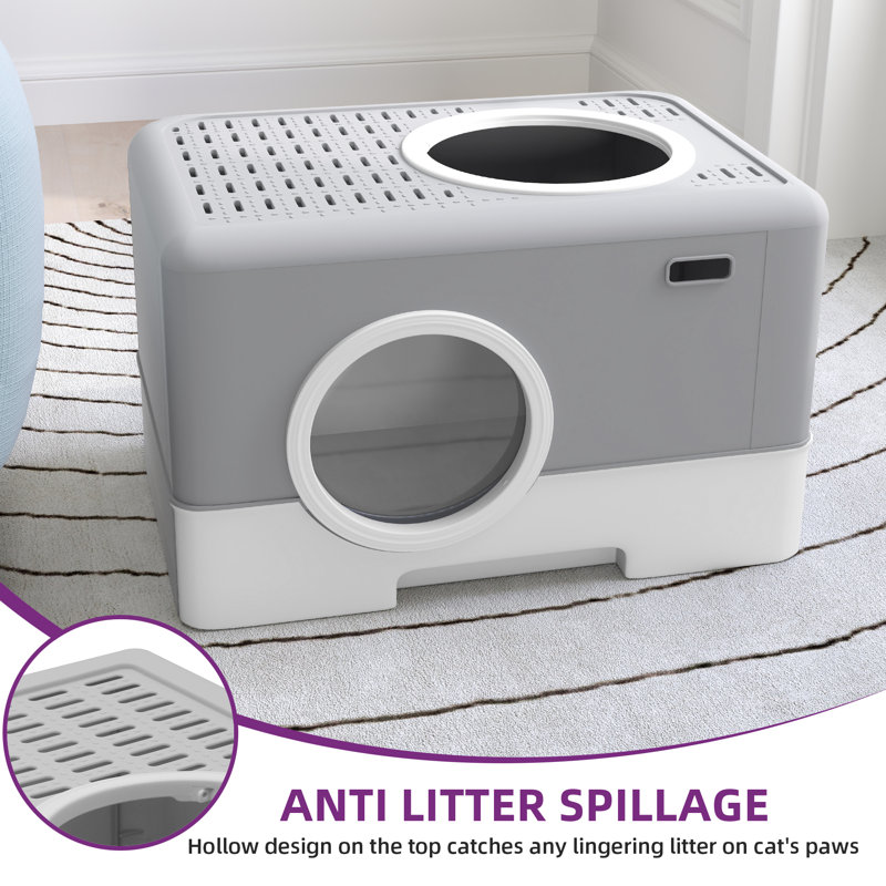 Archie & Oscar™ Denholme Standard Plastic Cat Litter Box with Scoop ...