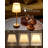 17 Stories Rechargeable Table Lamp Cordless Fast Charging Long Lasting ...