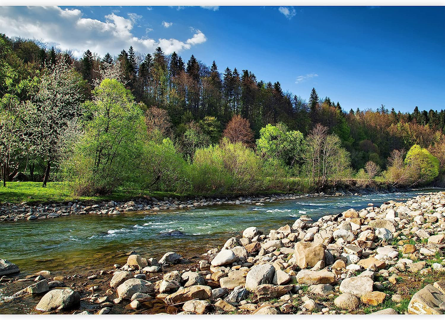 IDEA4WALL Landscape with Forest River and Stones Paintable Wall Mural ...