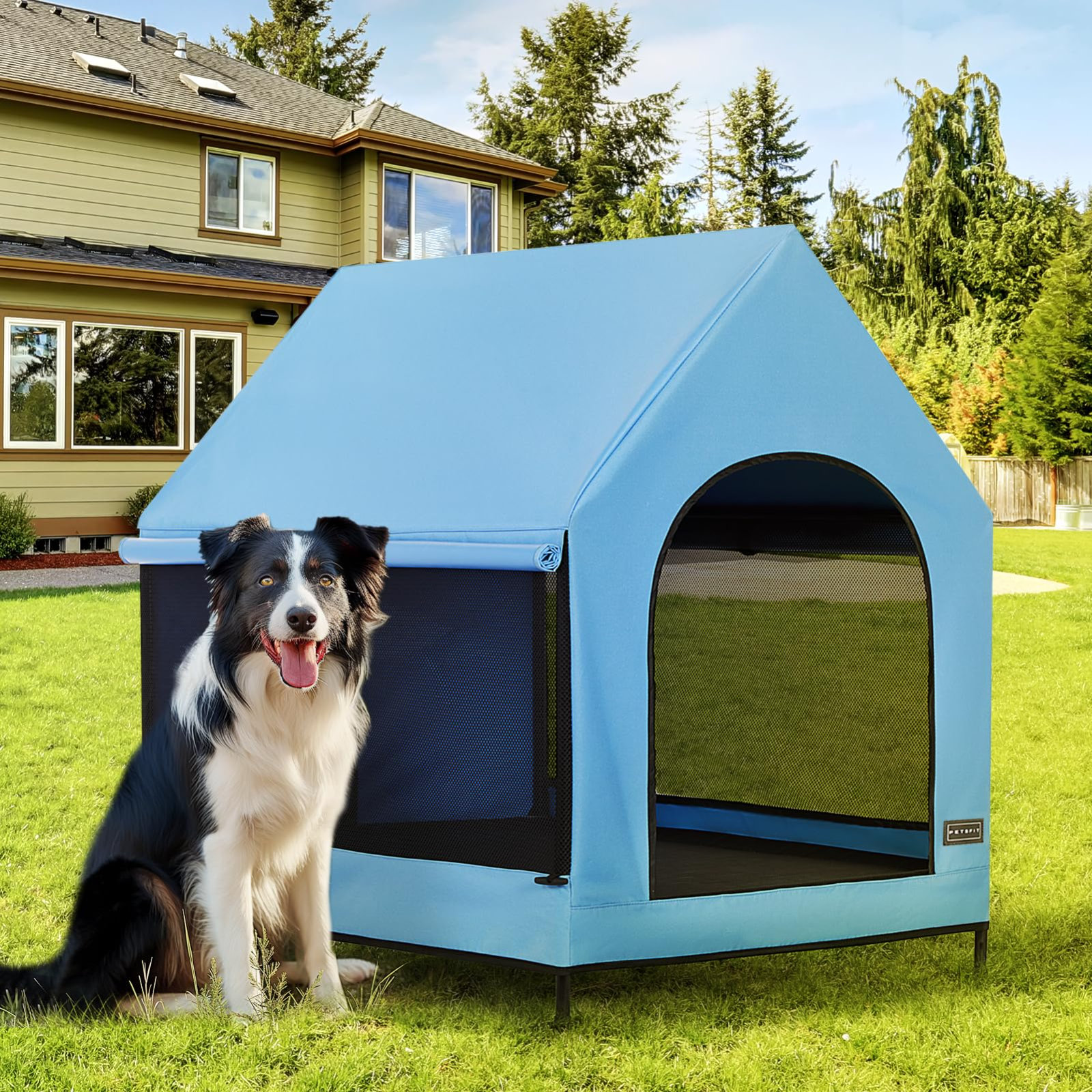 Archie & Oscar™ Elevated Pet Dog House, Portable Large Dog House With ...