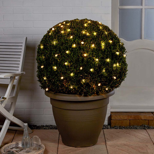 Fairy Lights, String Lights & Rope Lights | Wayfair.co.uk