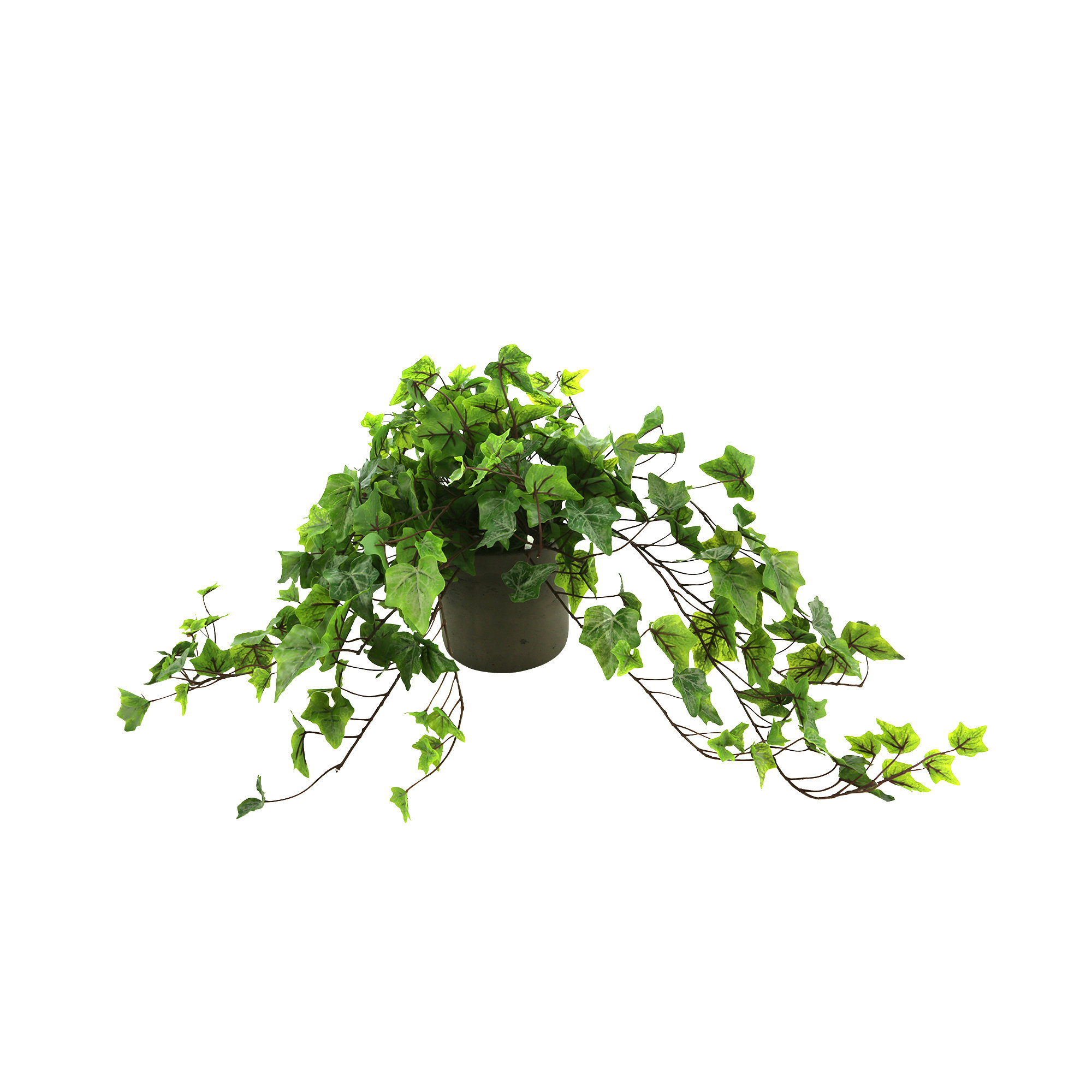 Creative Displays, Inc. Frosted Ivy Arrangement | Perigold