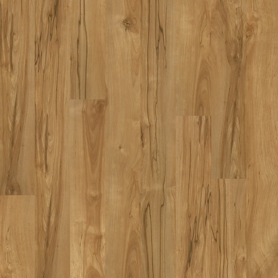 Shaw Sample Beacon Wood Laminate in Lighthouse | Joss & Main