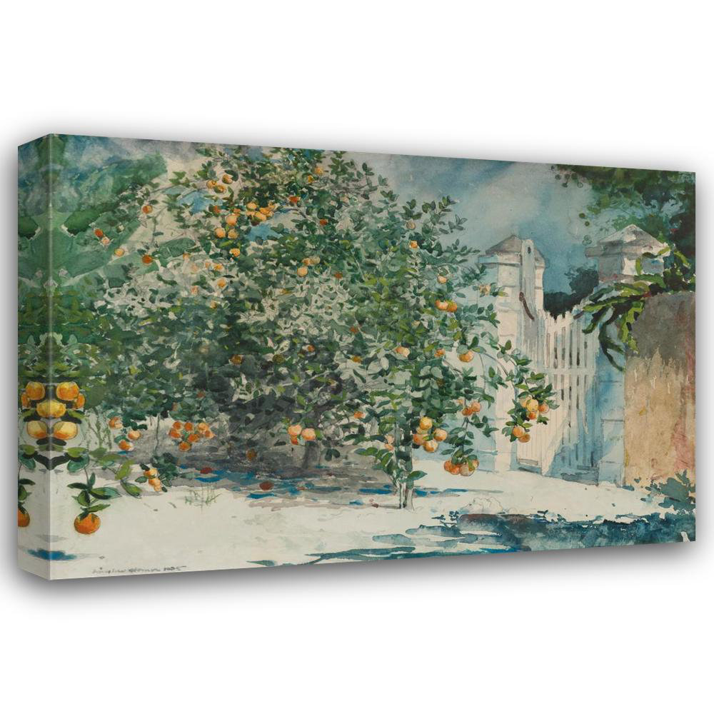 Vault W Artwork "Orange Trees and Gate" by Winslow Homer - Gallery Wrap ...
