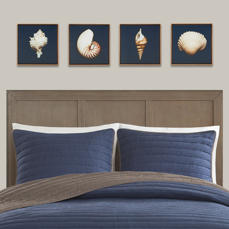 Highland Dunes Ocean Seashells 4-piece Framed Canvas Wall Art Set ...