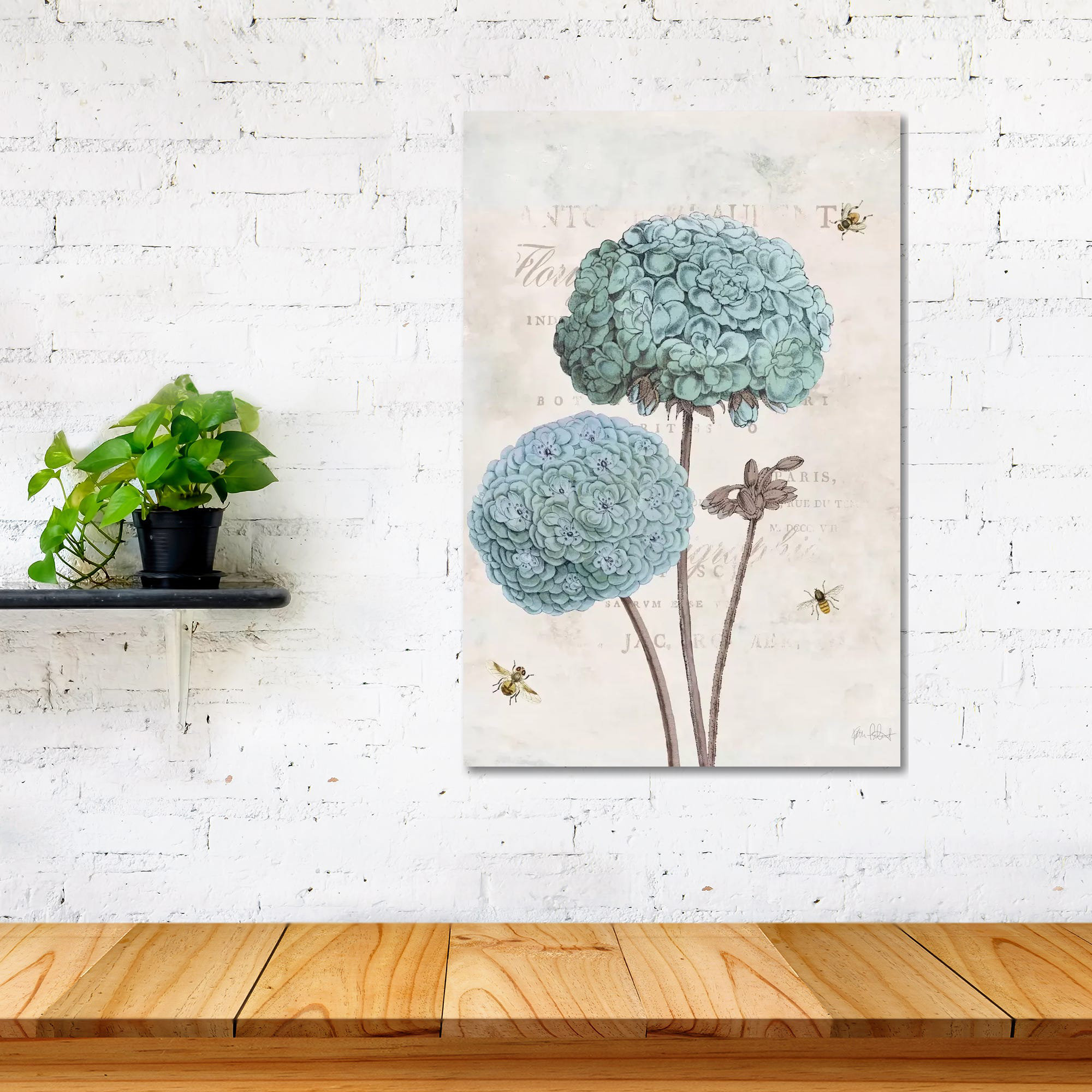 Red Barrel Studio® Geranium Study II Print On Acrylic Glass | Wayfair