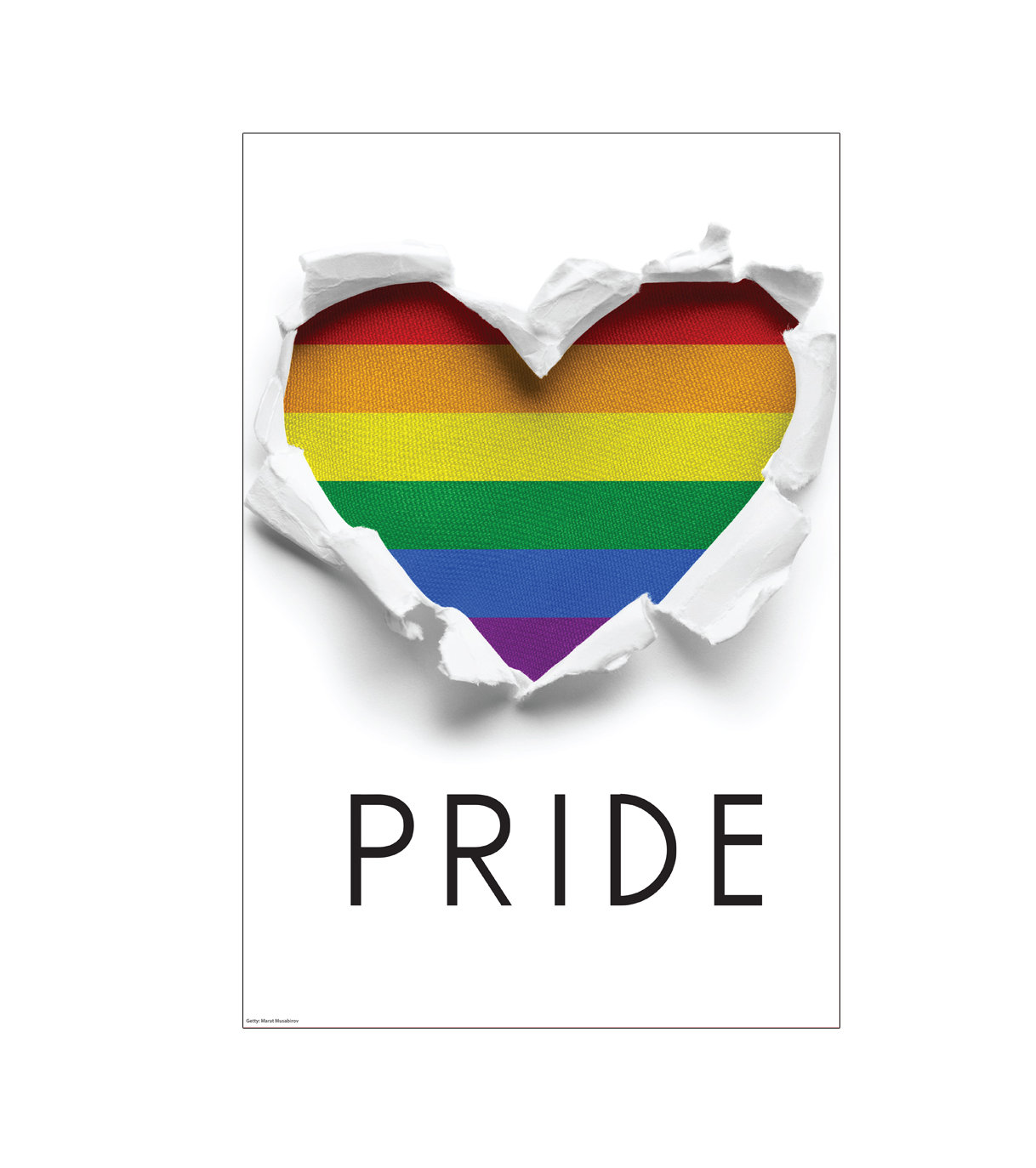 Advanced Graphics Pride Yard Sign | Wayfair