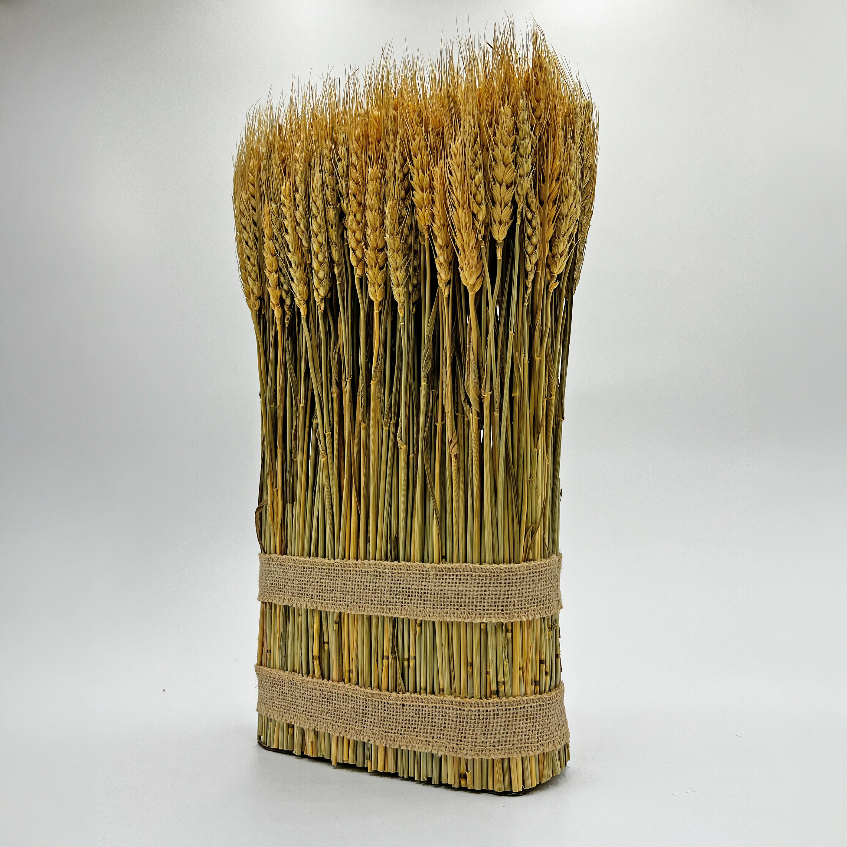 Primrue Preserved Decorative Wheat Standing Plant - Gold - Wayfair Canada