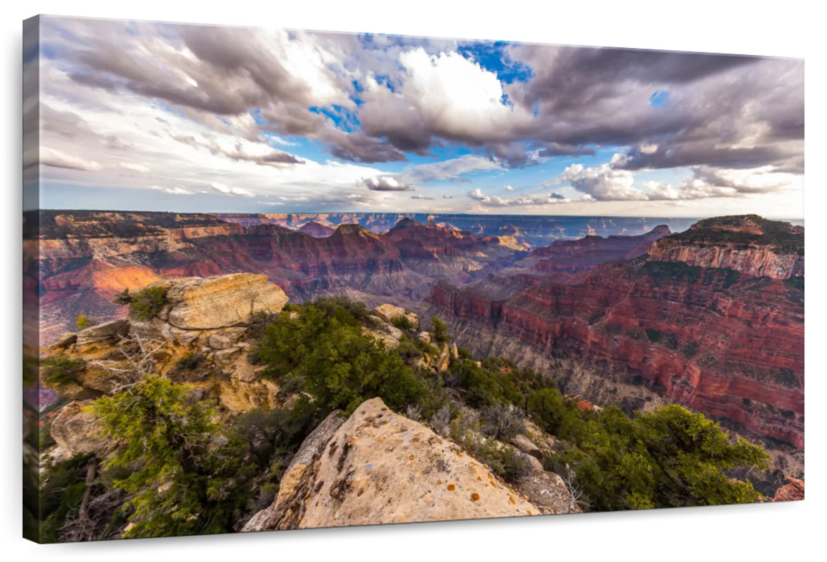Millwood Pines Alvord North Rim Grand Canyon - Wayfair Canada