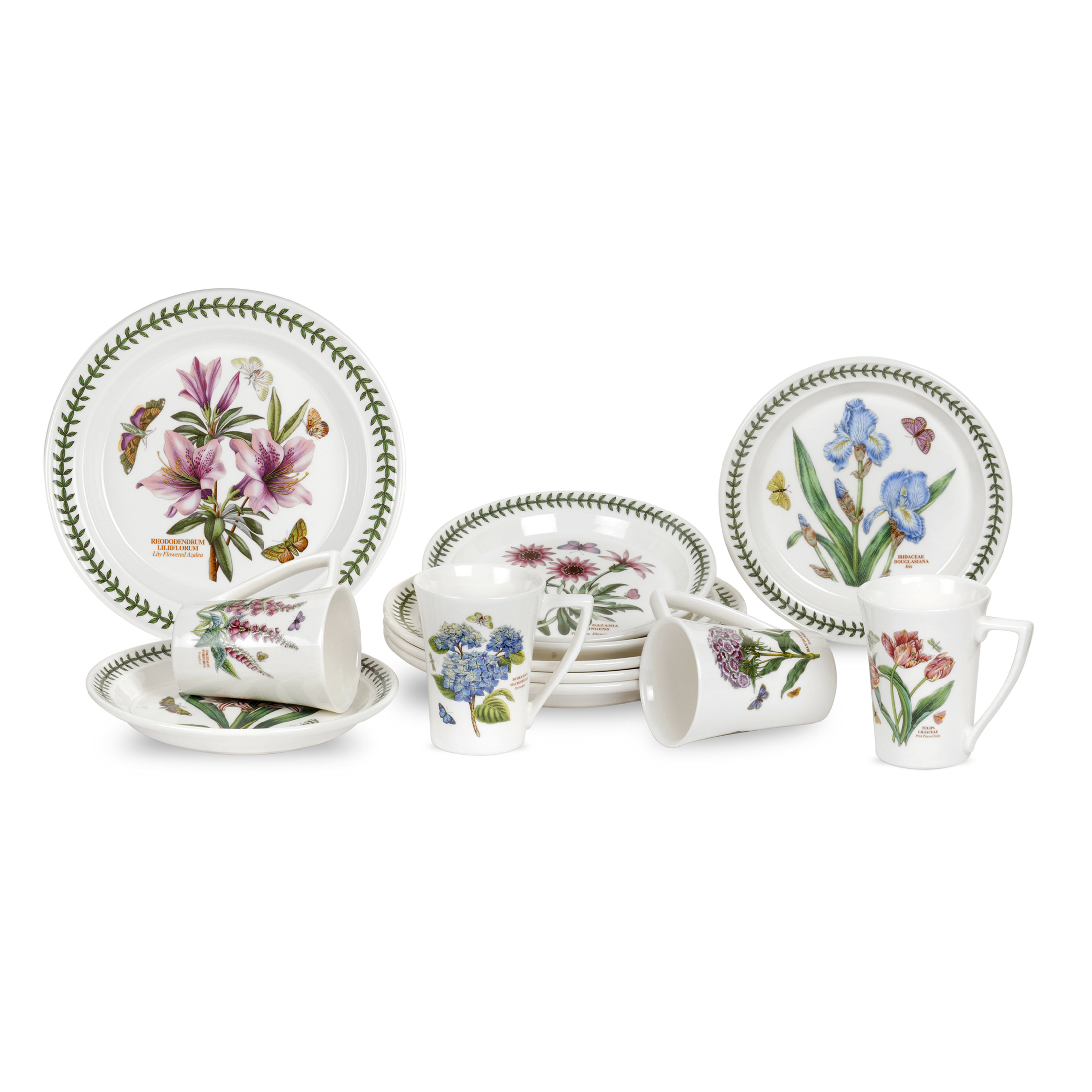 Portmeirion Botanic Garden 12 Piece Dinnerware Set & Reviews | Wayfair ...