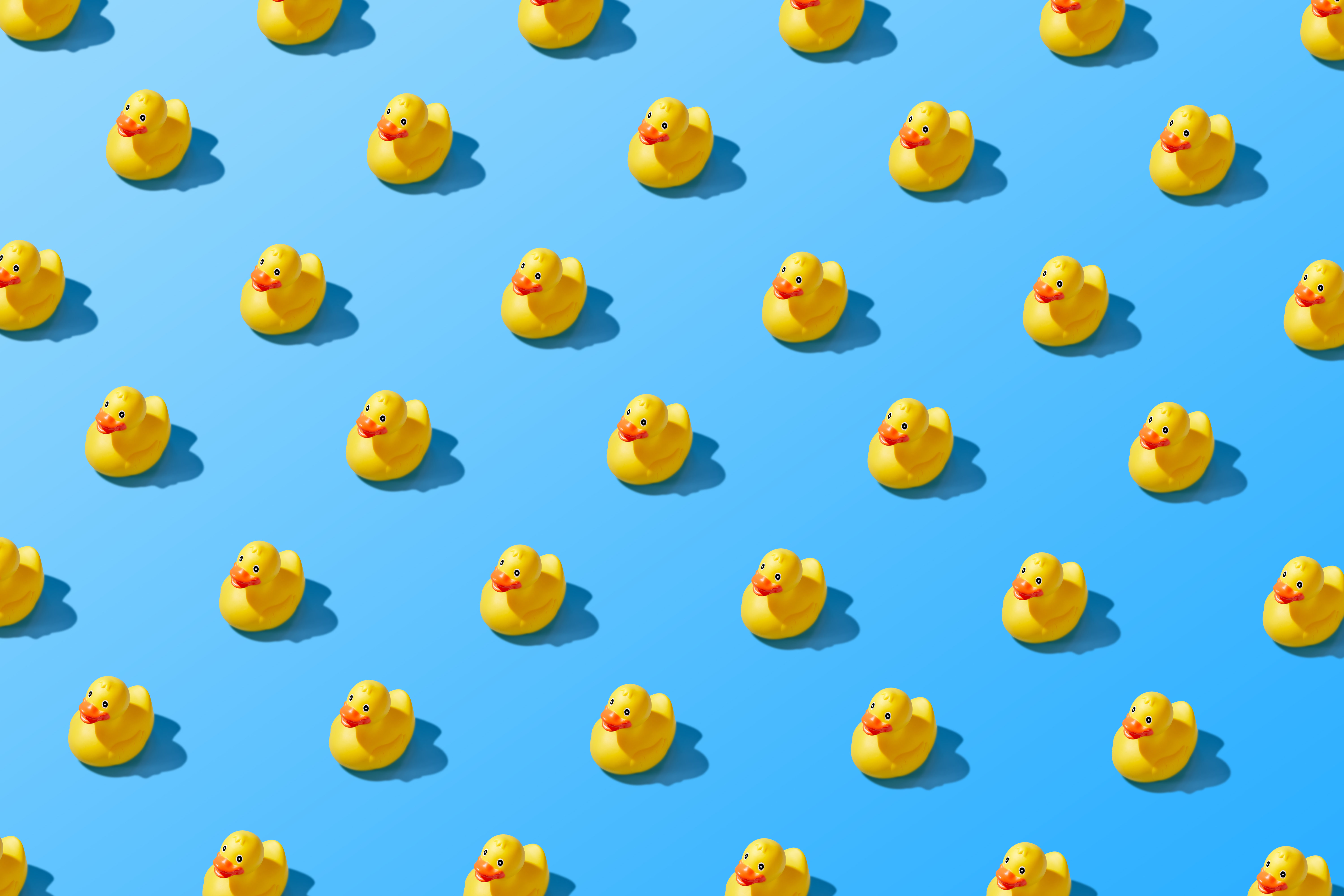Rosalind Wheeler Chyou Rubber Duck Pattern by Nadtochiy | Wayfair