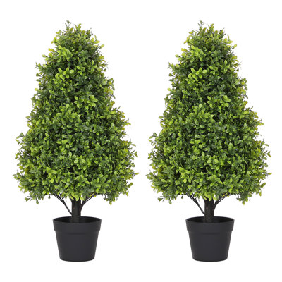 potted topiary trees