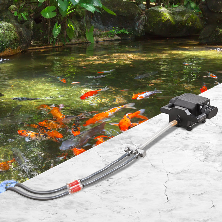 Arlmont & Co. Shirin Plug-in Pump | Wayfair