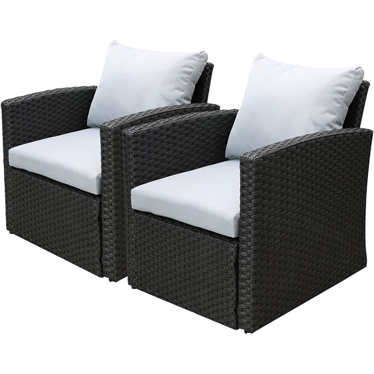 Red Barrel Studio® Damayia 2-Piece Patio Furniture Set With Cushions ...