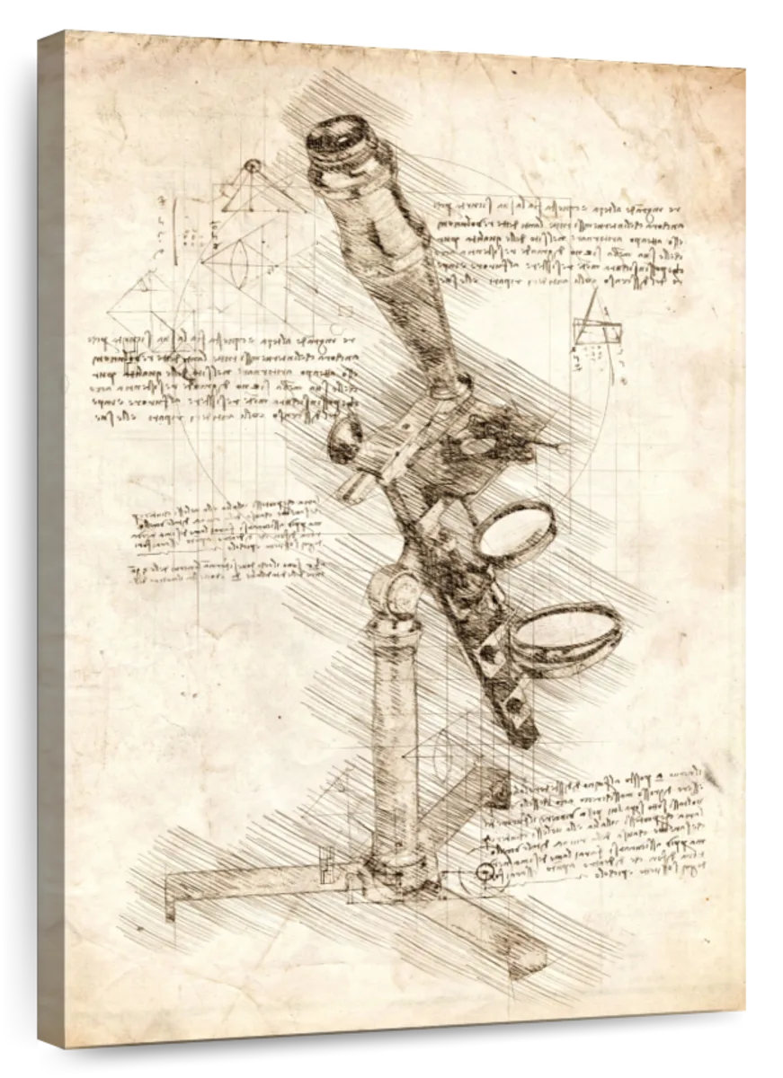 Elephant Stock Old Microscope | Wayfair