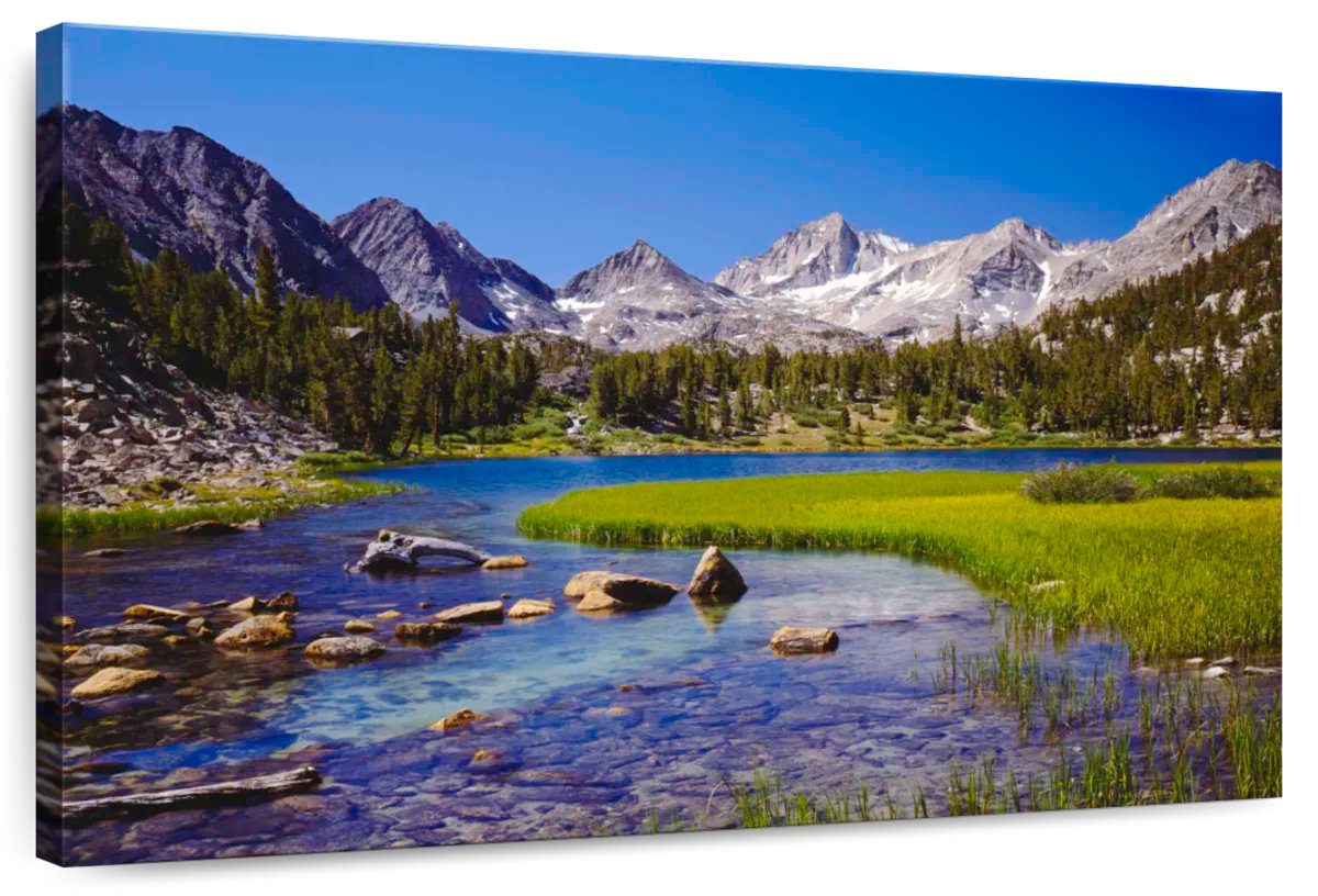 Millwood Pines Alvord Rocky Alpine Basin | Wayfair