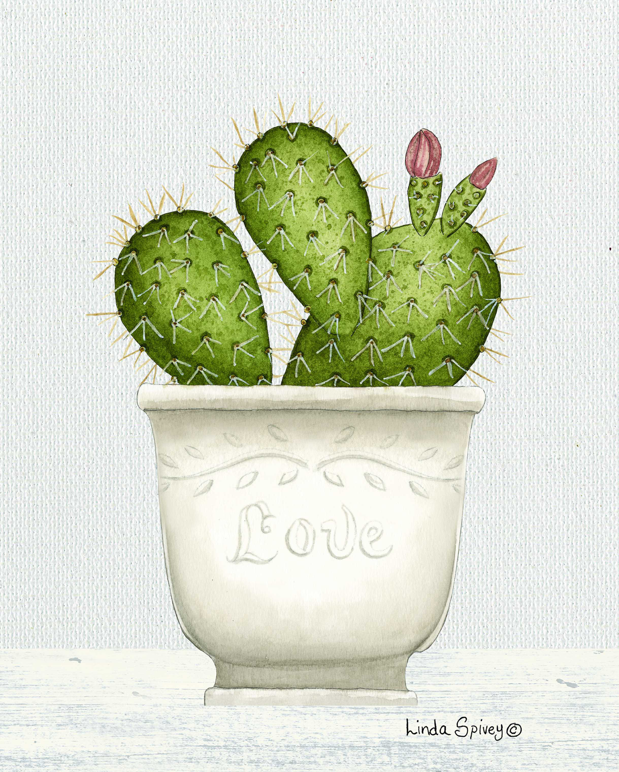 Union Rustic Prickly Pear Cactus by Linda Spivey - Wrapped Canvas Print ...