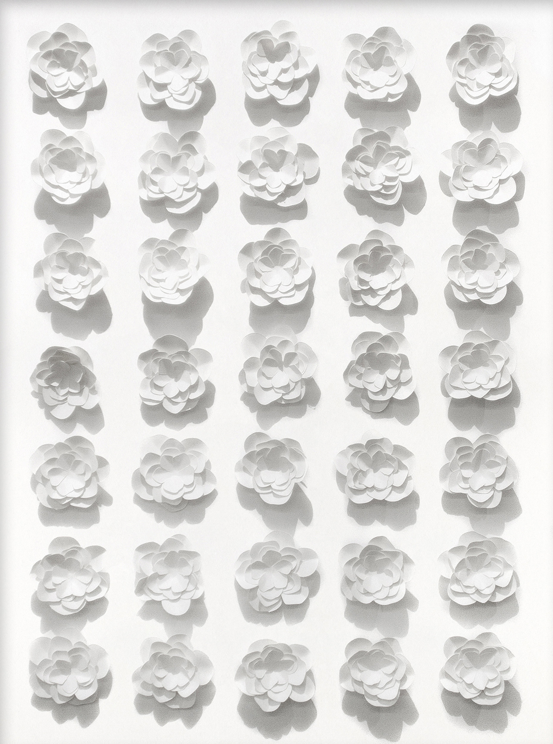 Wendover Art Group Flower Grid - Shadowbox Graphic Art on Paper | Wayfair