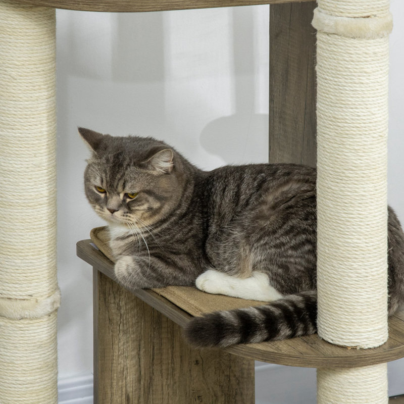 Archie & Oscar™ 65" Tasha Cat Tree & Reviews | Wayfair