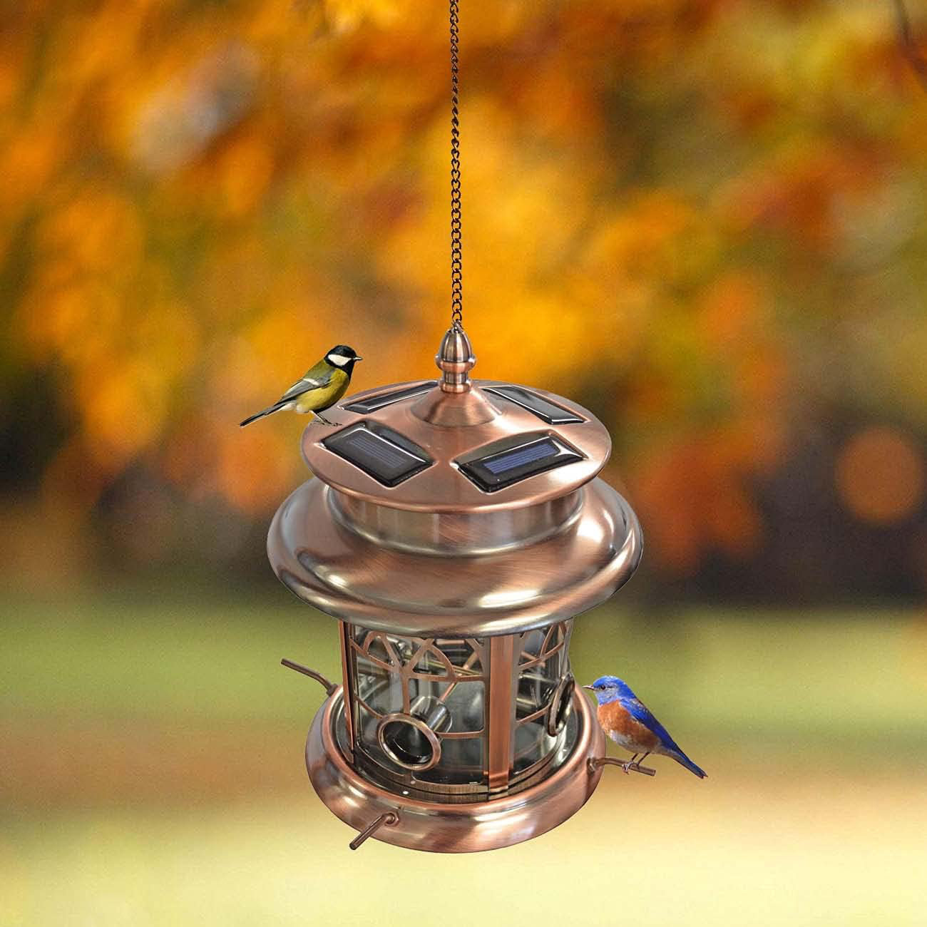 Bloomsbury Market Waterproof Glass Bird Feeder With Solar Lights ...