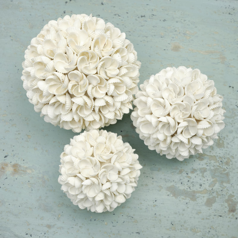 Red Barrel Studio® Everth 3 Piece Shell Balls Sculpture Set | Wayfair