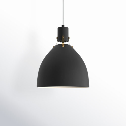 Modern Matte Black Pendant Lighting | AllModern