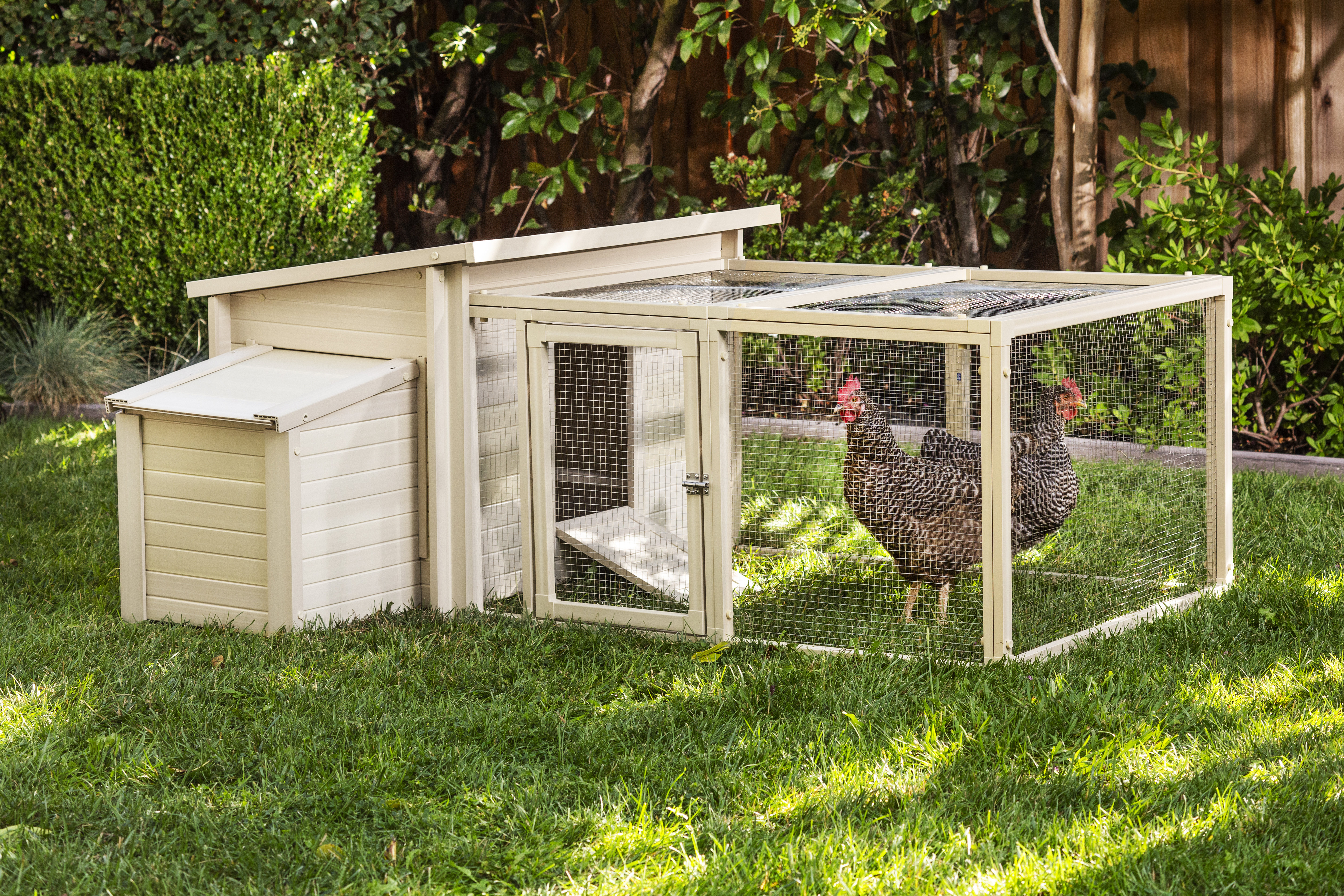 Archie & Oscar™ Achilles Chicken Barn and Pen Combo & Reviews | Wayfair