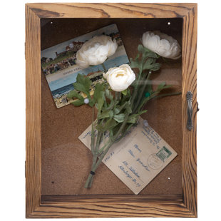 Shadow Box Picture Frames You'll Love