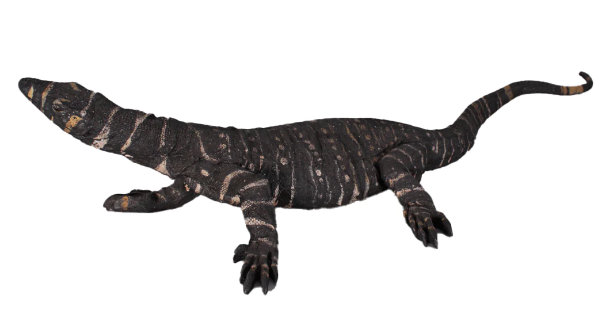 Dakota Fields Cliffard Lace Monitor Life Size Statue - Wayfair Canada