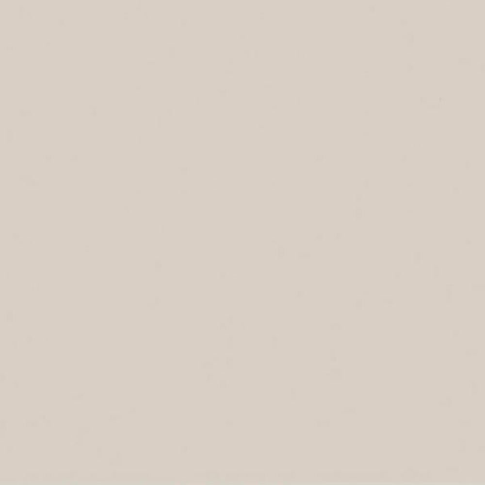 Dwelling Sample Color Chip Cappuccino | Wayfair