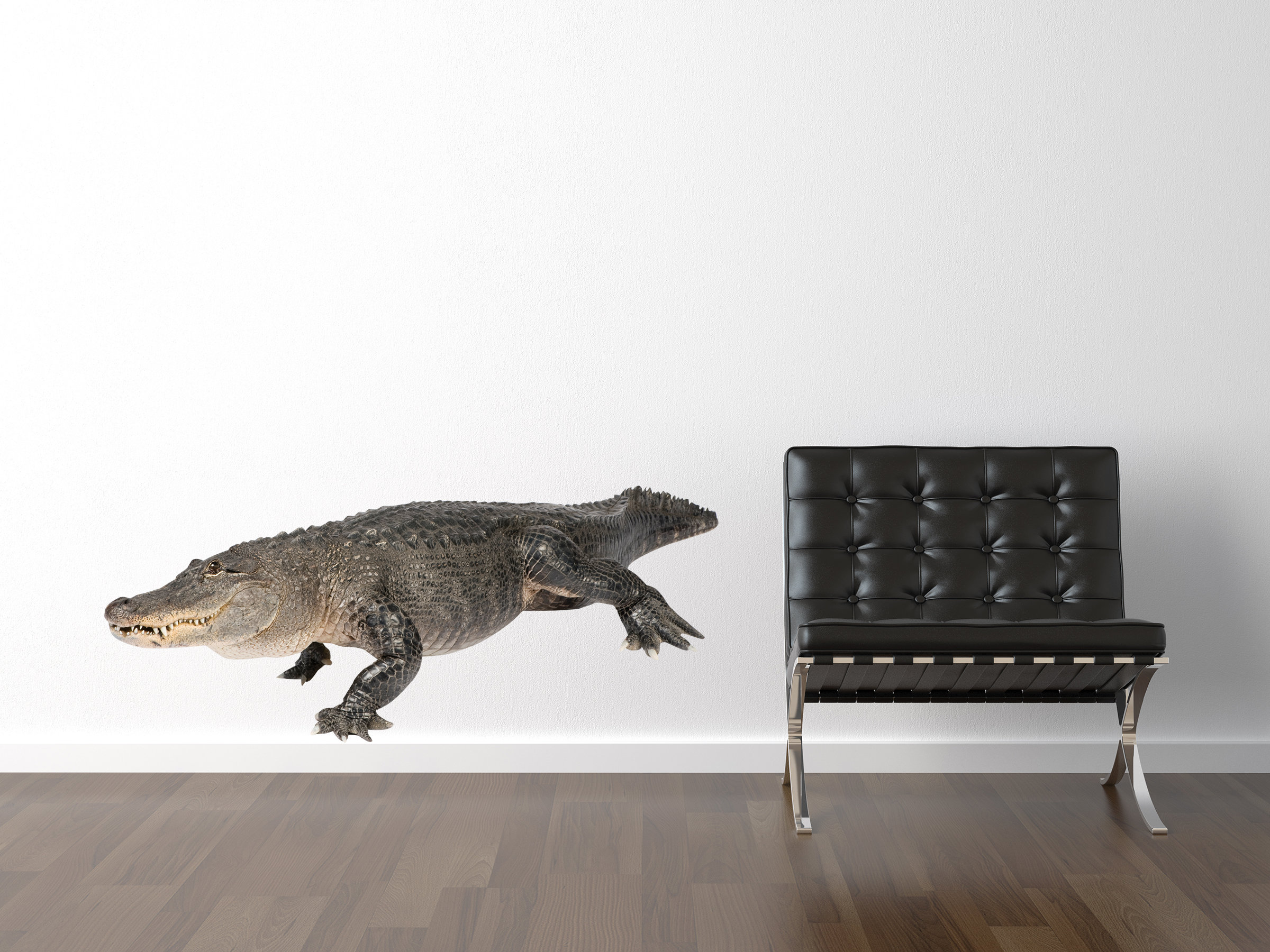 Advanced Graphics American Alligator Wall Decal | Wayfair