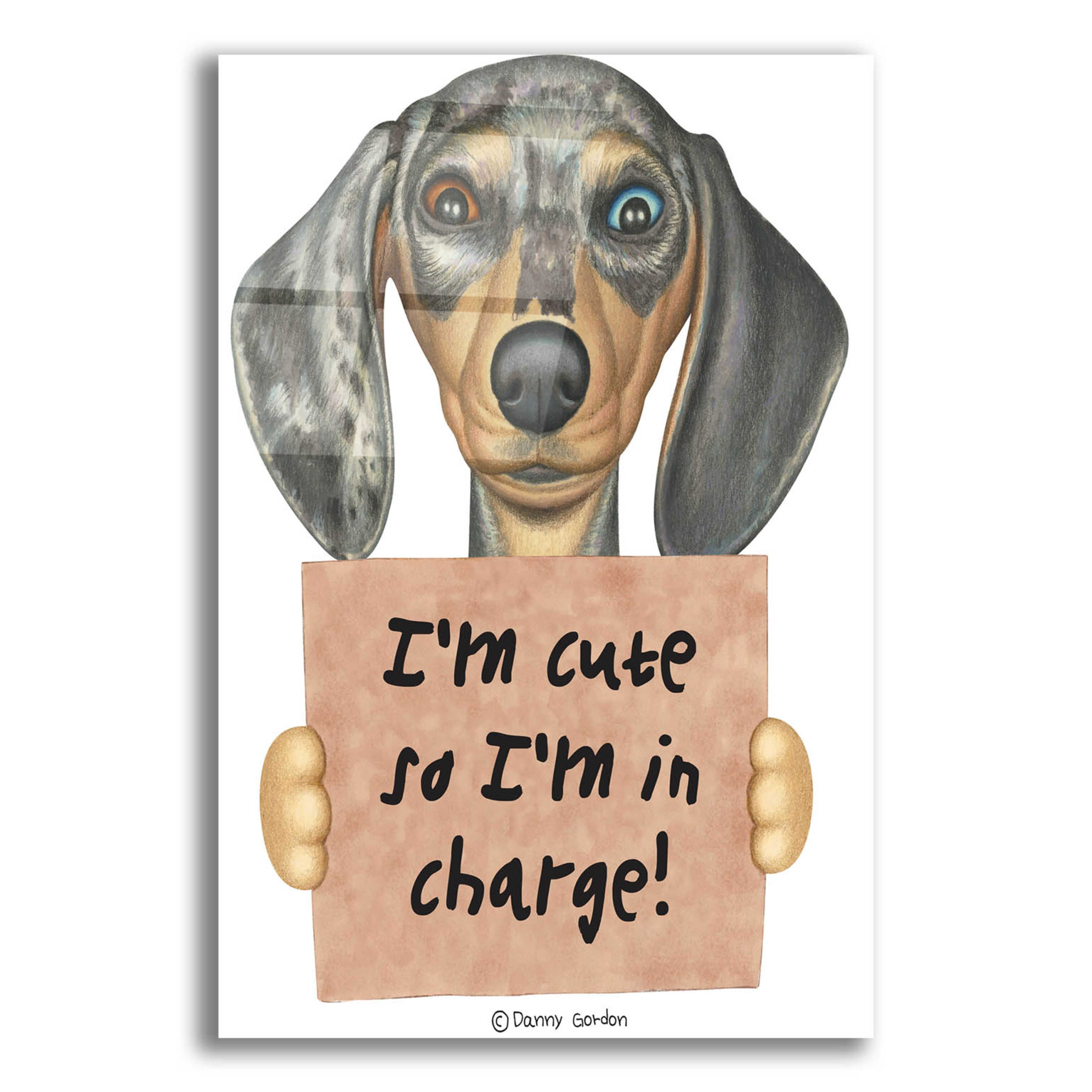 Trinx Teckel tacheté yeux bleus et bruns - Wayfair Canada