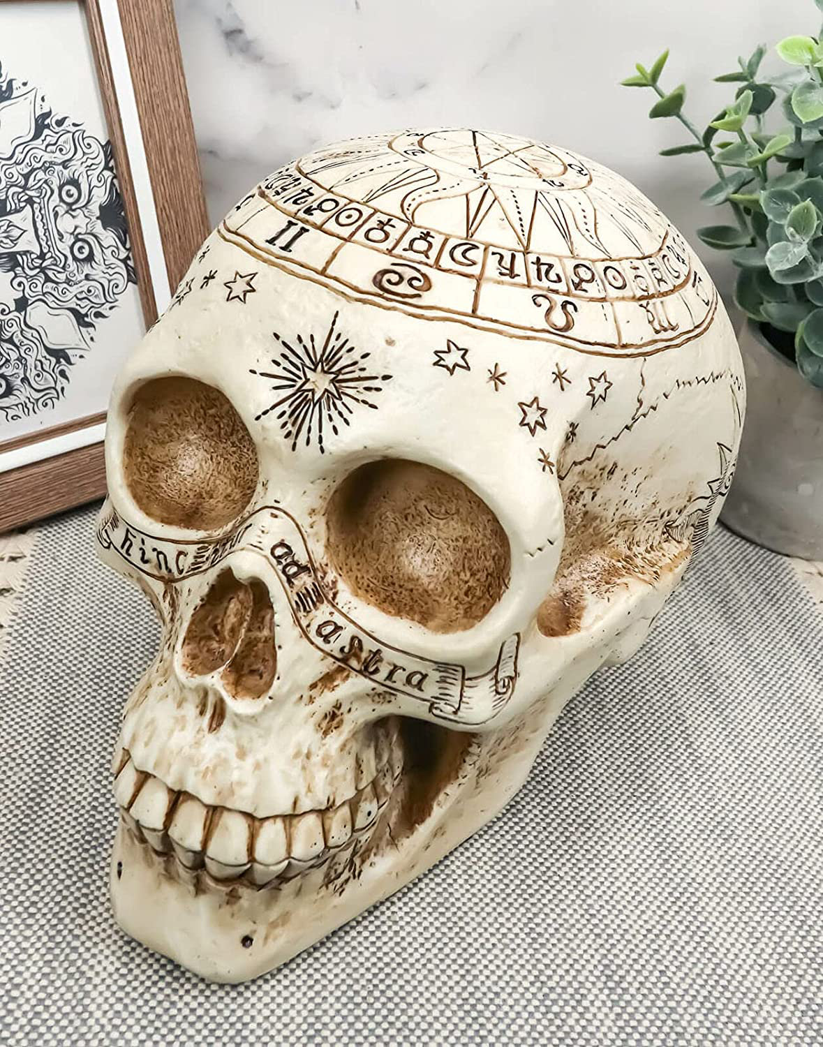 Trinx Solar Astrology Celestial Skull Statue Ancient Prophecy ...