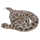 Hi-Line Gift Ltd. CURLED UP PYTHON STATUE | Wayfair