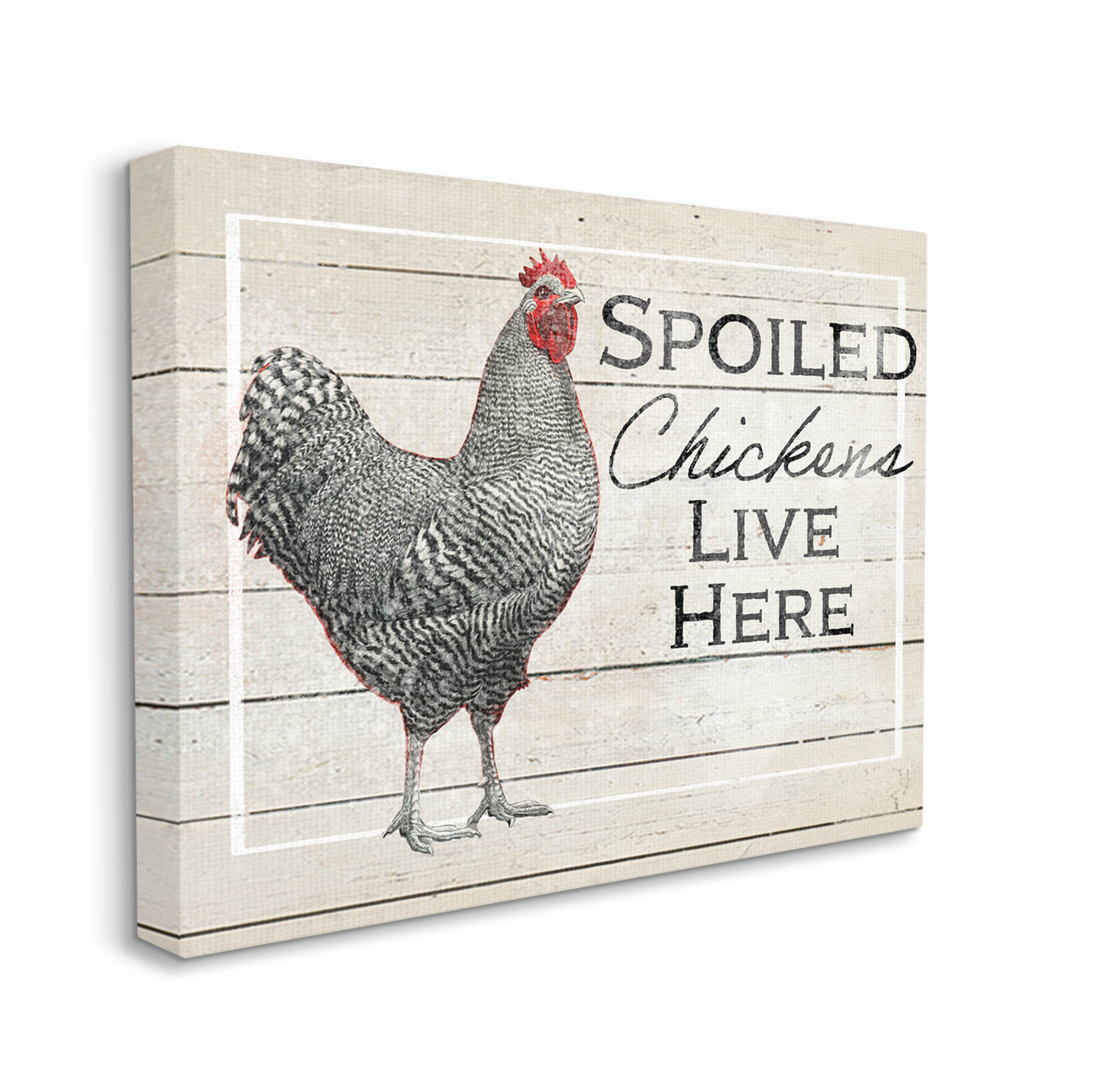 Stupell Industries Spoiled Chickens Live Here Phrase Canvas Wall Art By ...